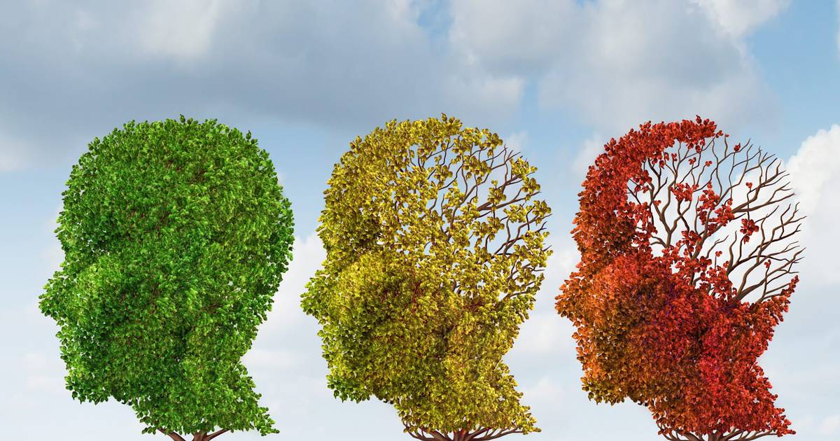 Demens - symptomer, årsager og behandlinger - Sundhedspanel